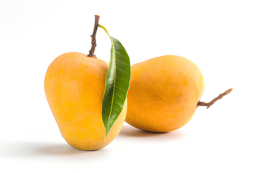Alphonso (Hapus) Mangoes by FreshKarro
